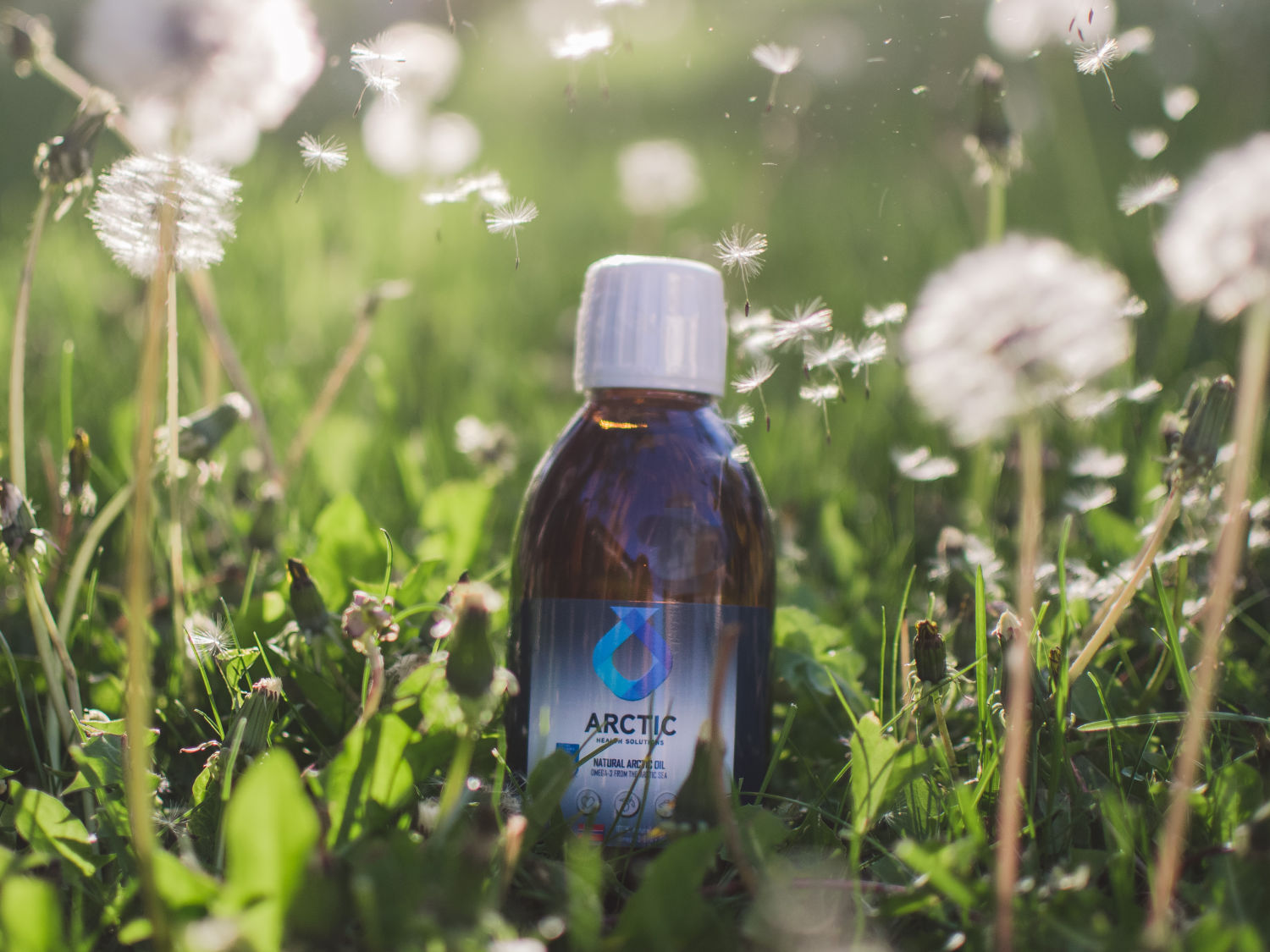 HeartReader Végfelhasználói Fiók - Mérhető Egészség